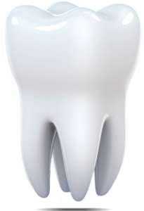 Insurance & Financing | David M White DDS | Reno, NV